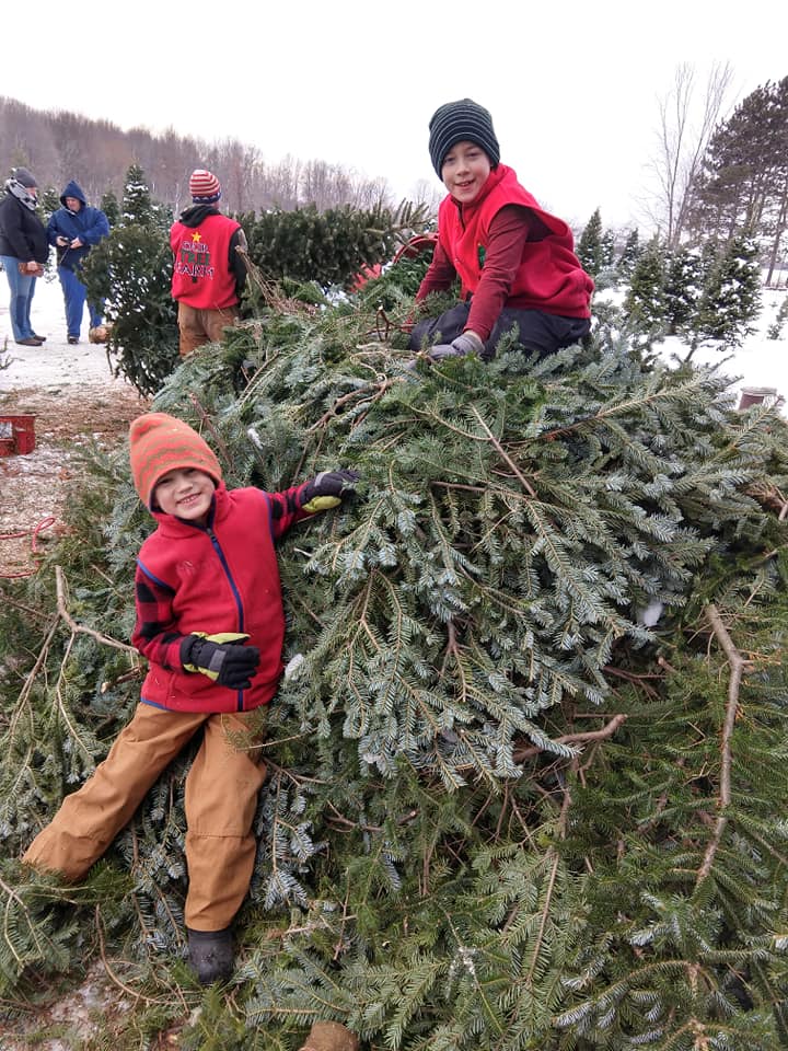 Open November 22, 2025 Choose and Cut Christmas Tree Farm - Our Tree Farm